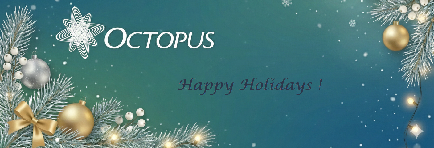 Service hours for Holidays | Doc - Octopus